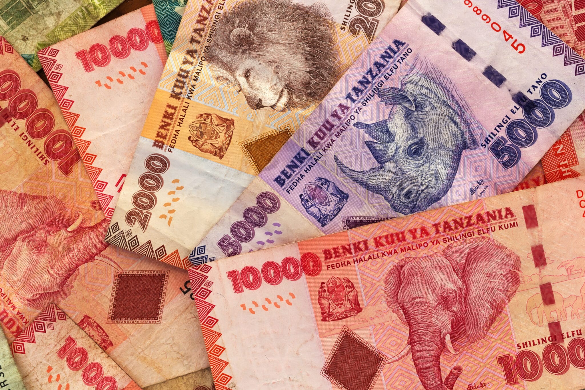 Tanzanian Shilling Your Complete Guide To Tanzania s Money Beyond 